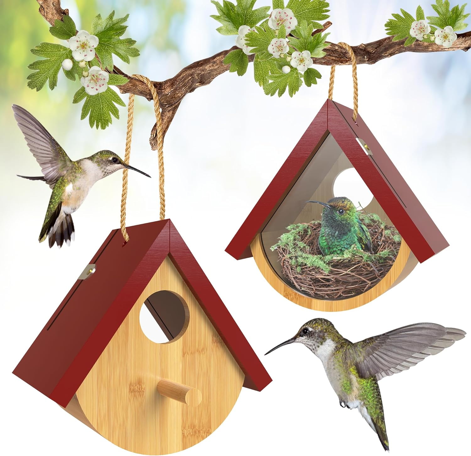 2 Pack Hummingbird House, Window View Wooden Bird Houses for Outside ...