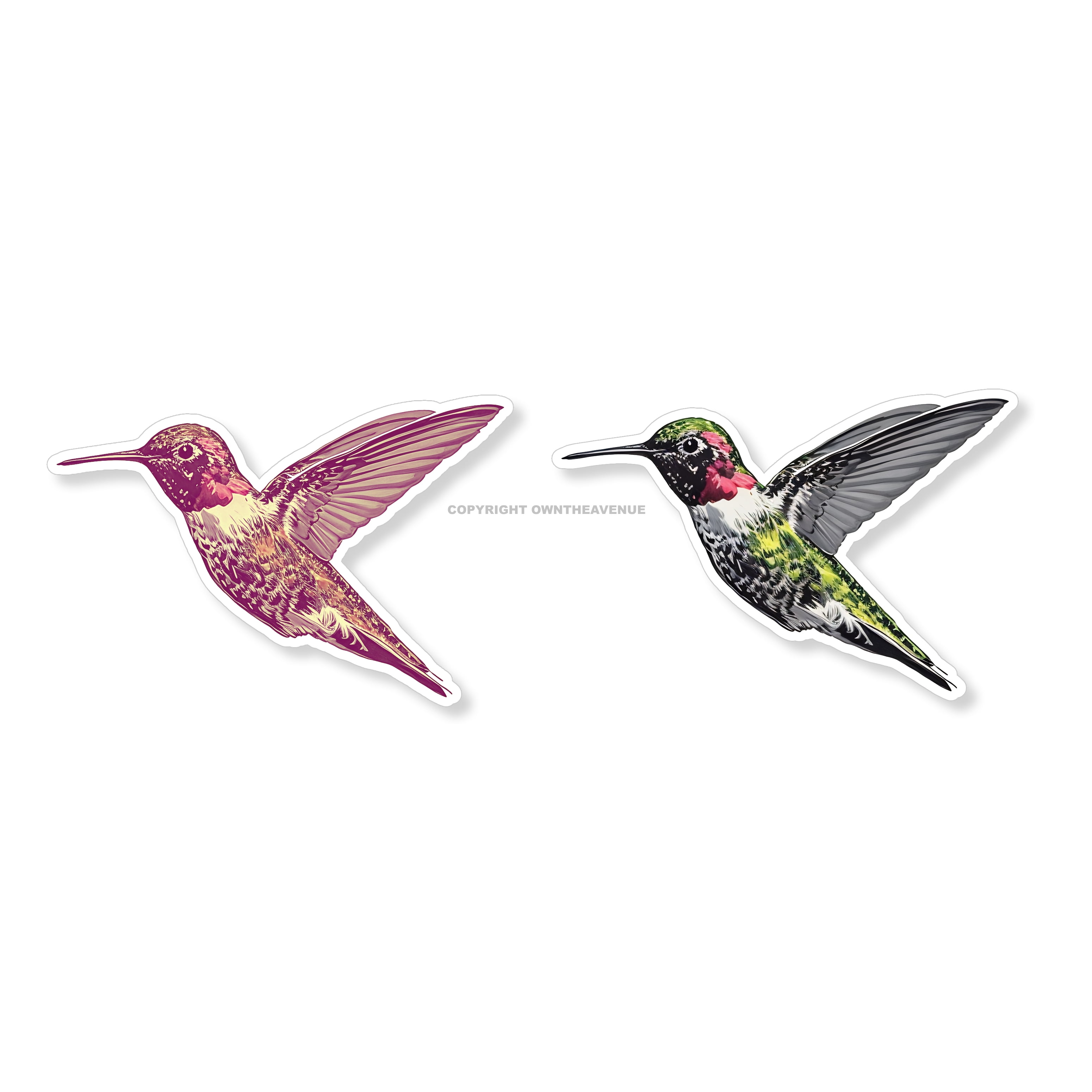 2 Pack - Hummingbirds Car Truck Laptop Bumper Vinyl Sticker Decals 4 ...