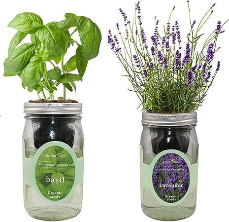 2-Pack Hydroponic Mason Jar Herb Garden Kit, Indoor Herb Garden Self ...