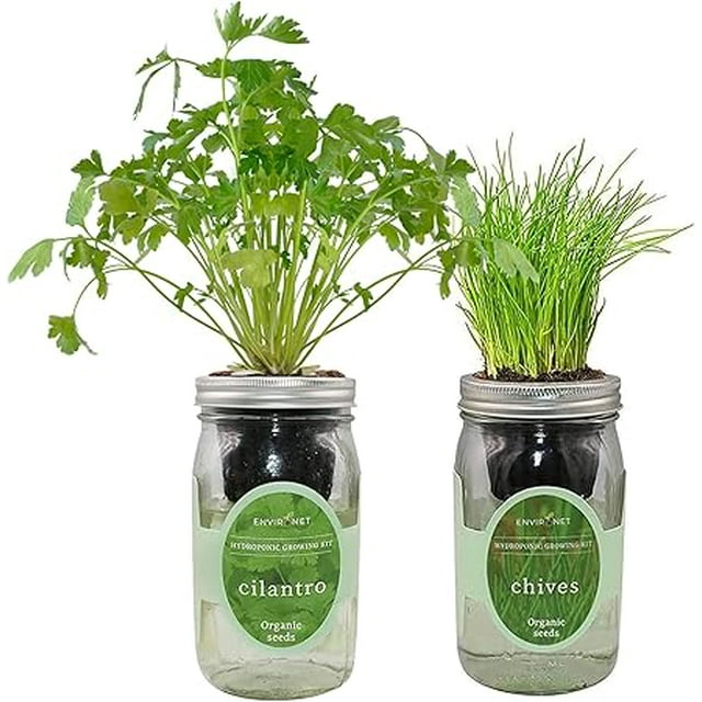 2-Pack Hydroponic Mason Jar Herb Garden Kit, Indoor Herb Garden Self ...