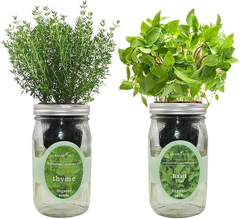 2-Pack Hydroponic Mason Jar Herb Garden Kit, Indoor Herb Garden Self ...