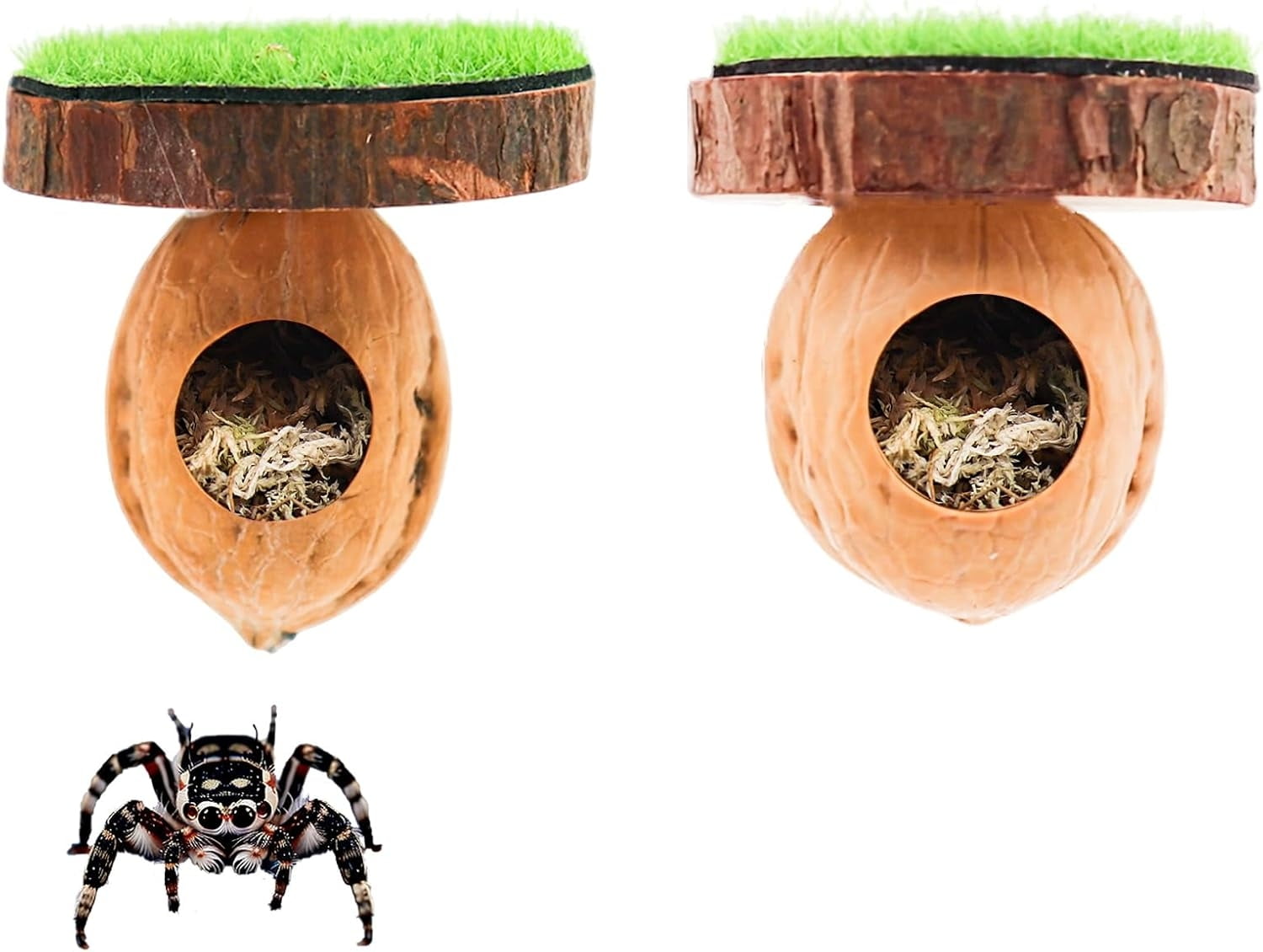 2 Pack Jumping Spider Enclosure Accessories, Magnetic Walnut Hide with ...