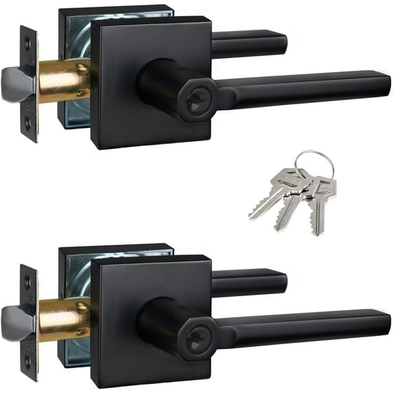 2 Pack Keyed Alike Entry Door Lever with Lock and Key, Matte Black Door ...