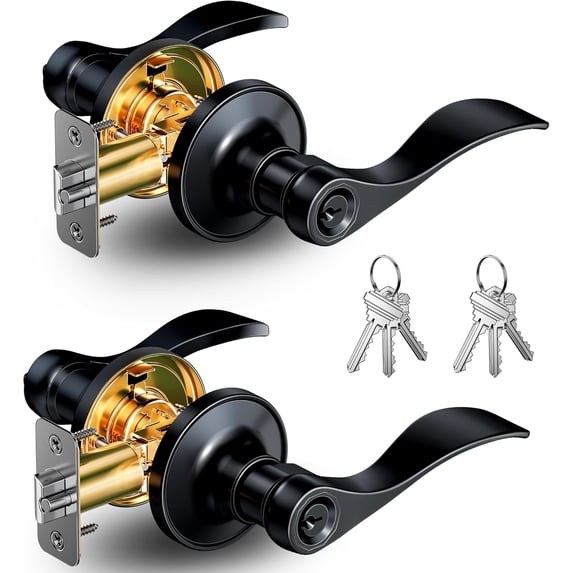 2 Pack Keyed Entry Door Lever, Same Key Wave Handle Lock for Exterior ...