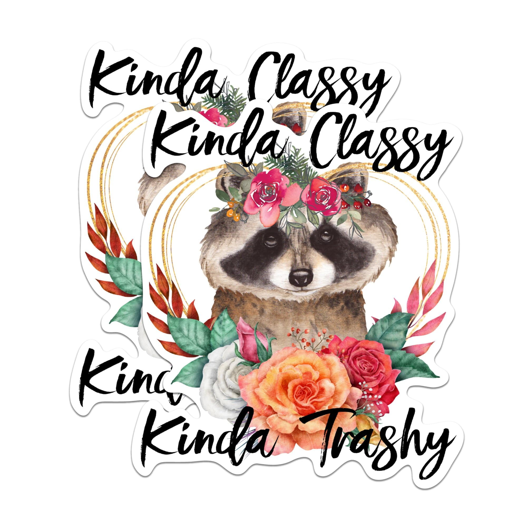 (2 Pack) Kinda Classy Kinda Trashy Magnets - Funny Sassy Sarcastic ...
