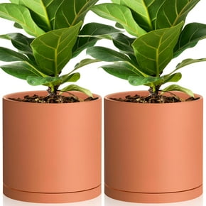 Terra Cotta Planters Large