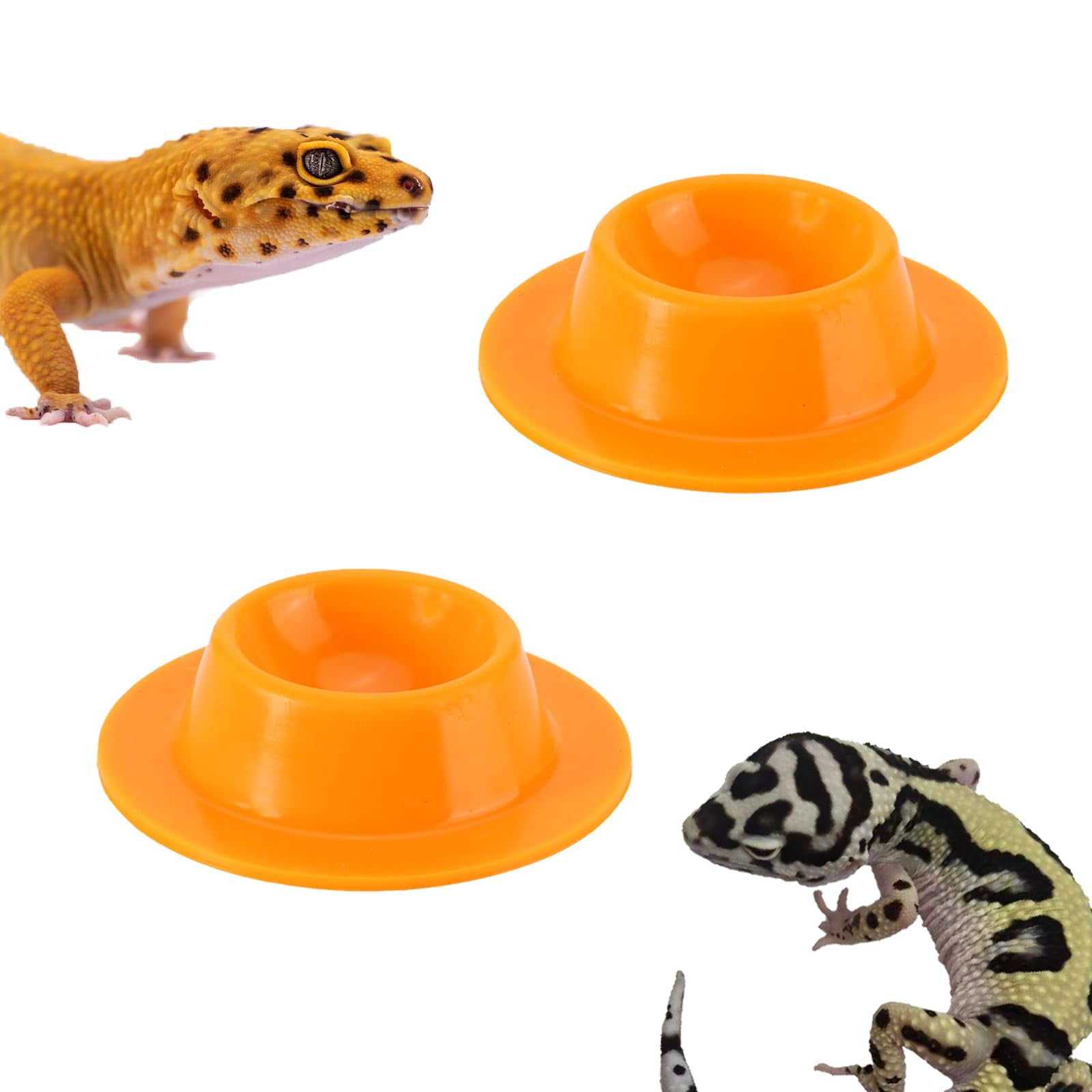 2 Pack Leopard Gecko Food Dish Gecko Calcium Dish Gecko Food Dish and ...