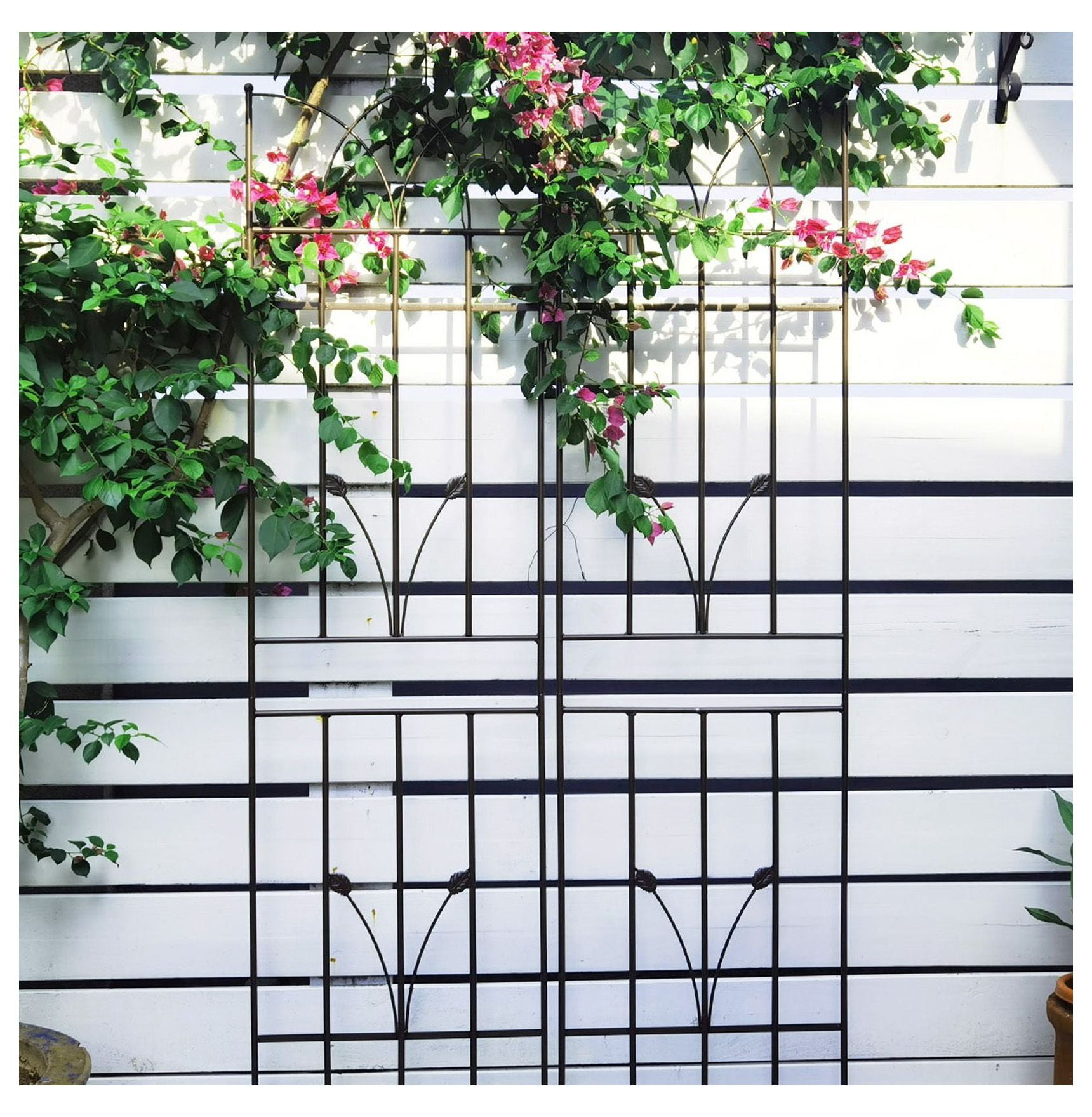 2 Pack Metal Garden Trellis 71" x 17.7" Rustproof Trellis for Climbing ...