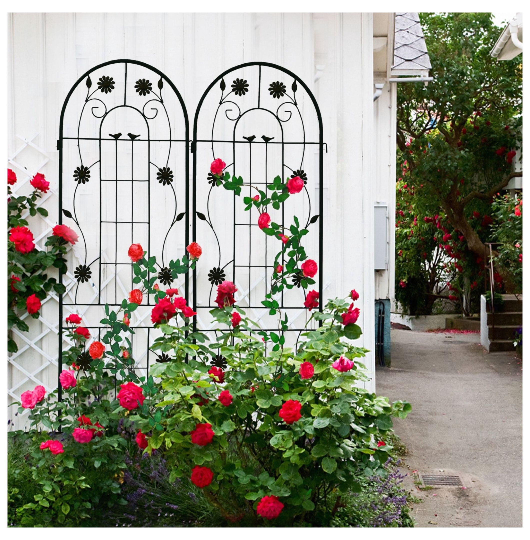 2 Pack Metal Garden Trellis 71" x 19.7" Rustproof Trellis for Climbing ...