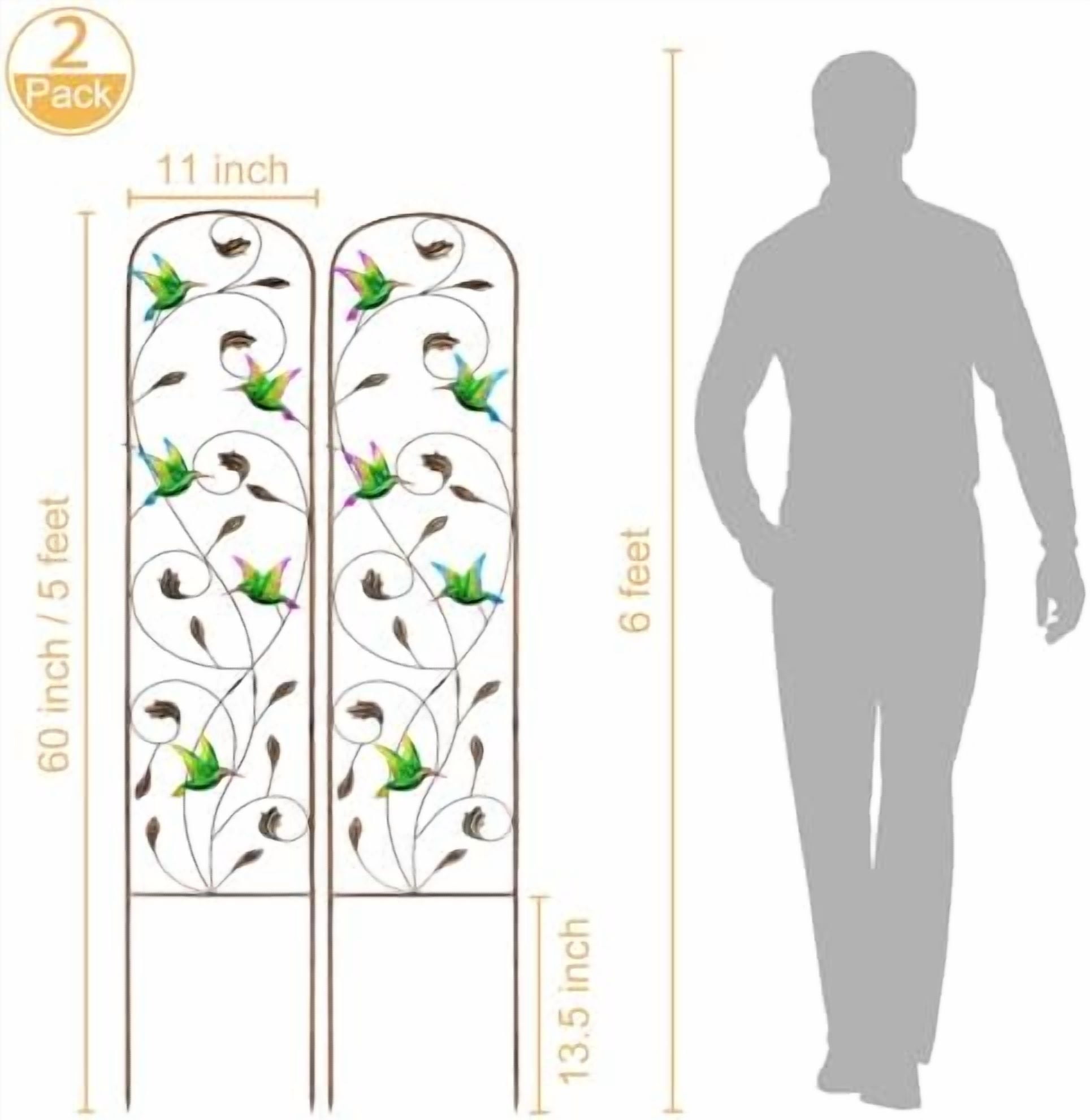 2 Pack Metal Garden Trellis with Colorful Hummingbird 60 Inch High ...