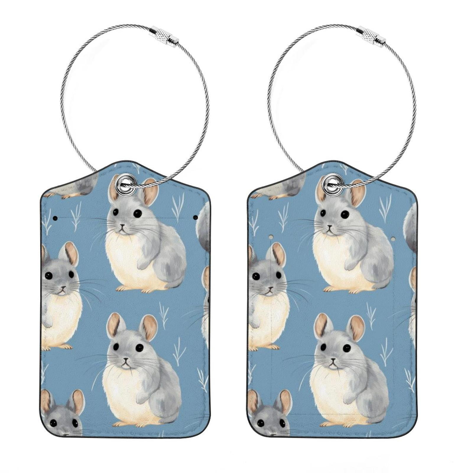 2-Pack Metal Loop Lock Luggage Tags with Privacy Flap Cover, Cute ...