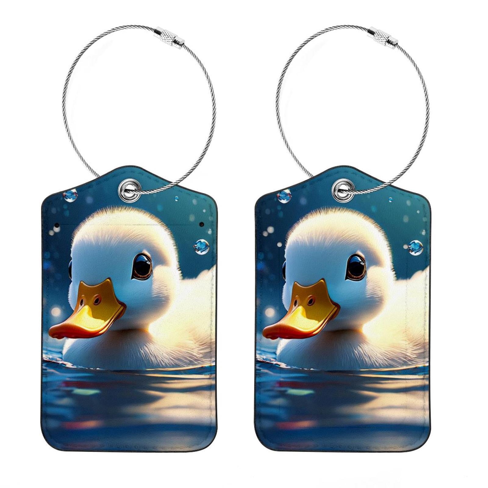 2-Pack Metal Loop Lock Luggage Tags with Privacy Flap Cover, Lovely ...