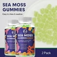 Minch 8000mg Irish Sea Moss Gummies, Support Immune & Thyroid, 60ct ...