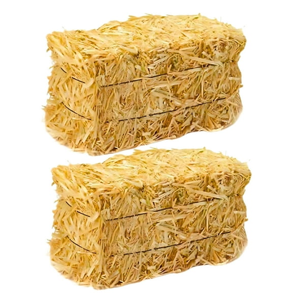Decorative Bales Hay