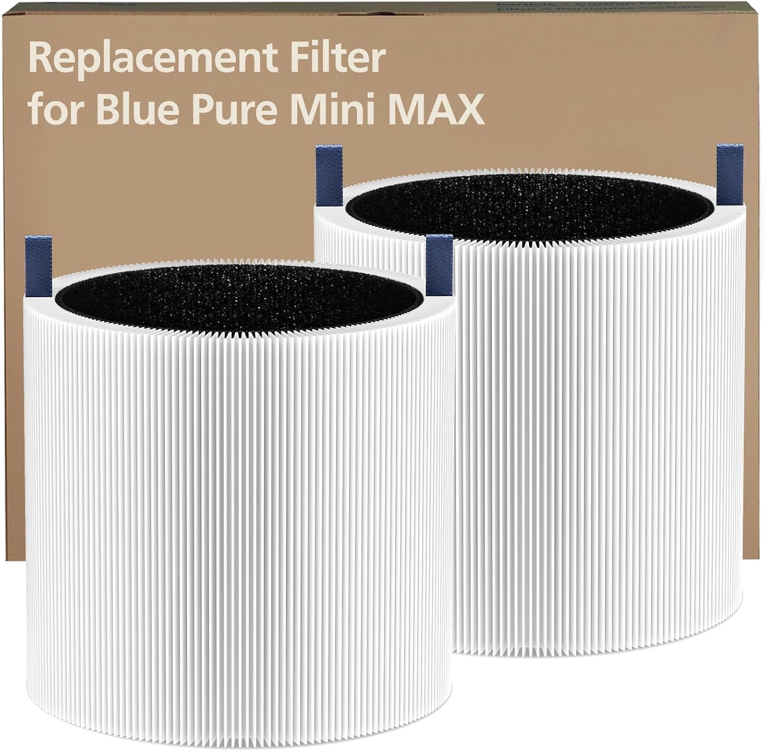 2 Pack Mini Max Replacement Filter, FMINI Filter Compatible with Blue ...