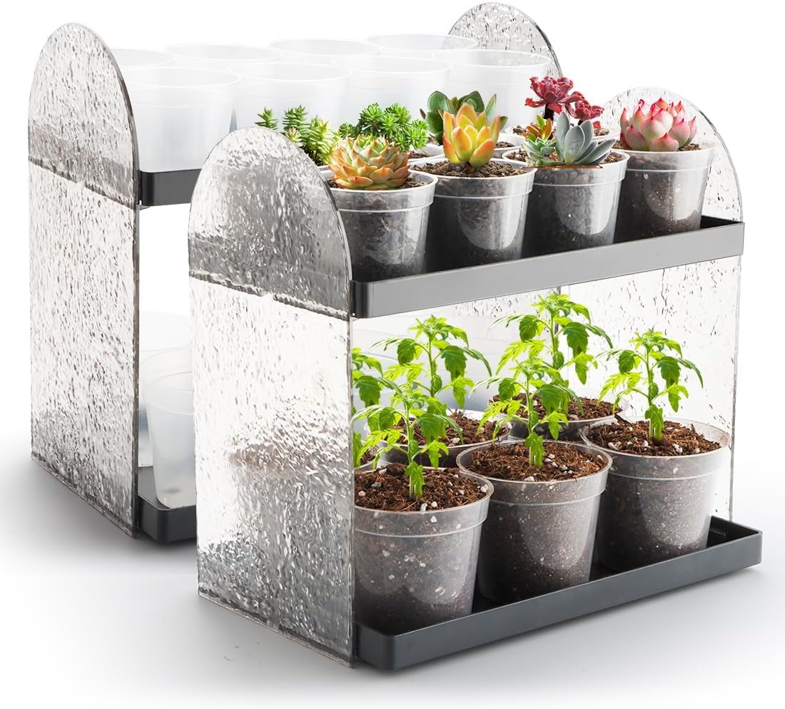 2-Pack Mini Plant Stand with Clear Plastic Pots for Plants – Indoor ...