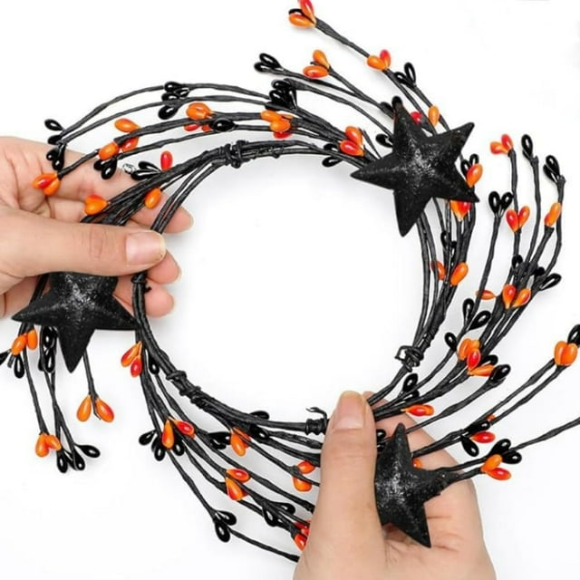 2 Pack Mini Wreath Black Orange& Star Mixed Berries & Pip Berry Candle ...