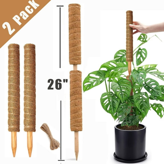 Vikakiooze Home Decor Plunger Simulation Butterfly Flower Pot Vase ...