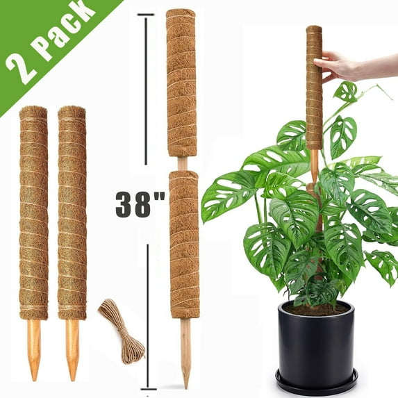 2 Pack Moss Pole, Each 20.8 Inch, Extendable Design to 38 Inch Moss ...