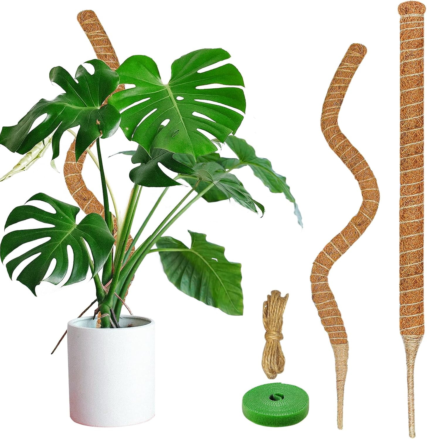 2 Pack Moss Pole, 26.8-Inch Moss Poles for Plants Monstera,Bendable ...