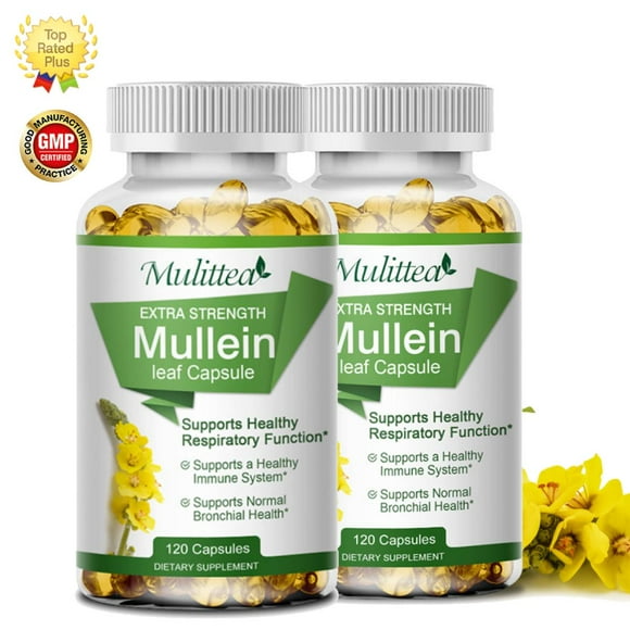 Mullein Health Benefits