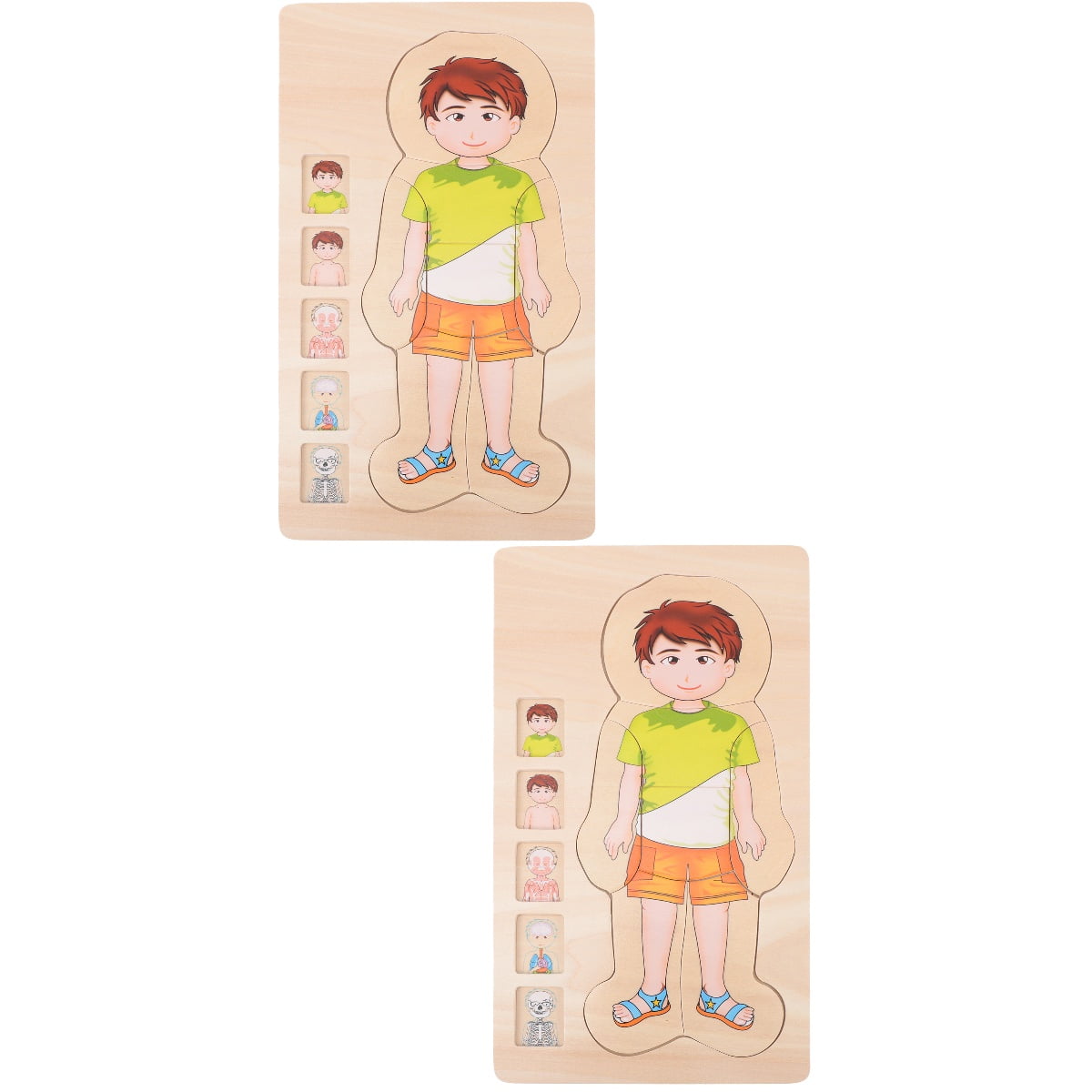 2 Pack Multilayer Puzzle Body Structure Cognition Toy Early Educational ...