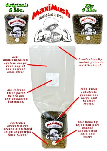 (2-Pack) Mushroom Grow Kit! Magic Grow Bag for Mushrooms! (Original ...