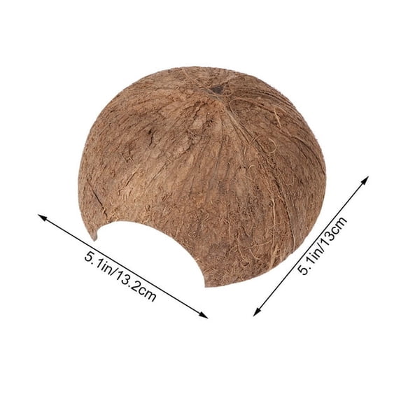2 Pack Natural Coconut Reptile Hideouts, Lizard, Spider and Aquarium ...