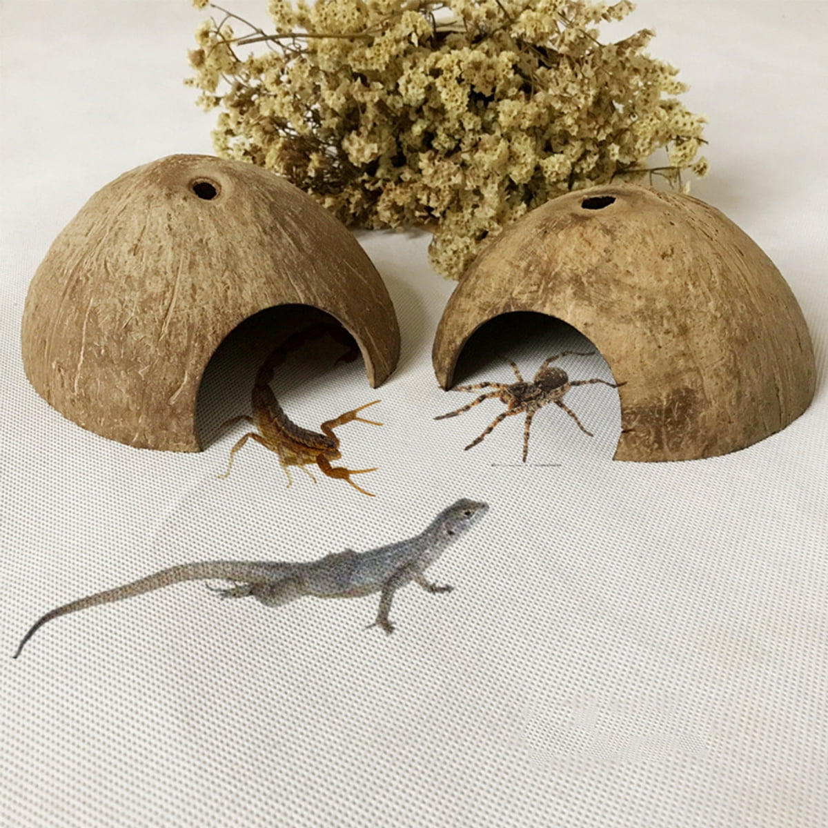 2 Pack Natural Coconut Reptile Hideouts, Lizard, Spider and Aquarium ...
