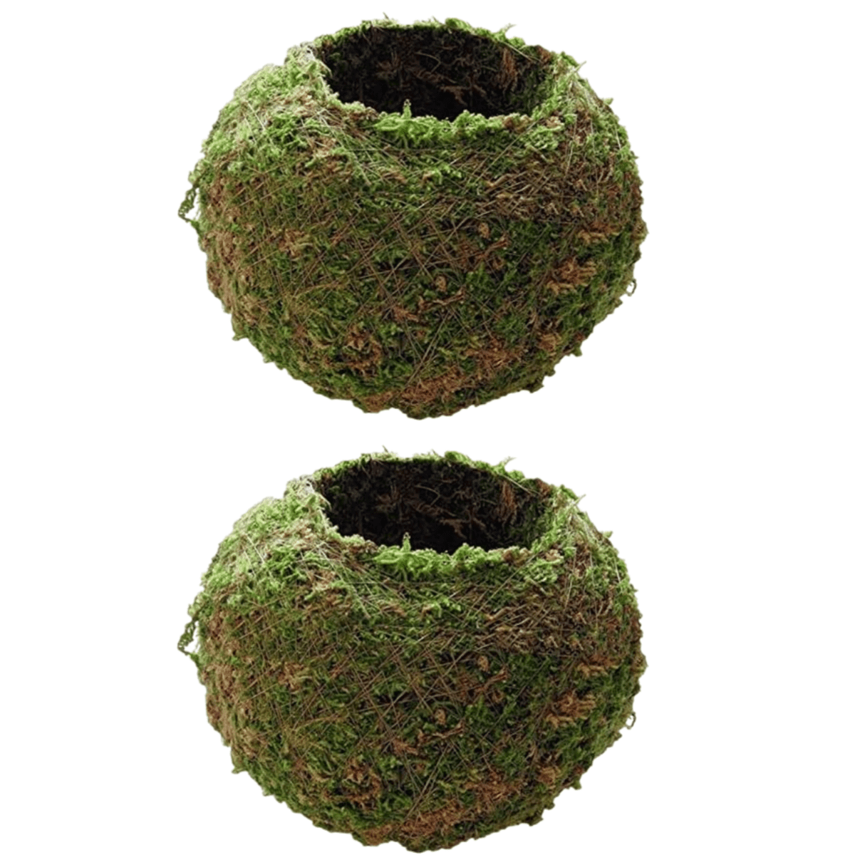 2 Pack Natural Planter Weave Moss Ball 3.5 inch Planter Bonsai Plant ...