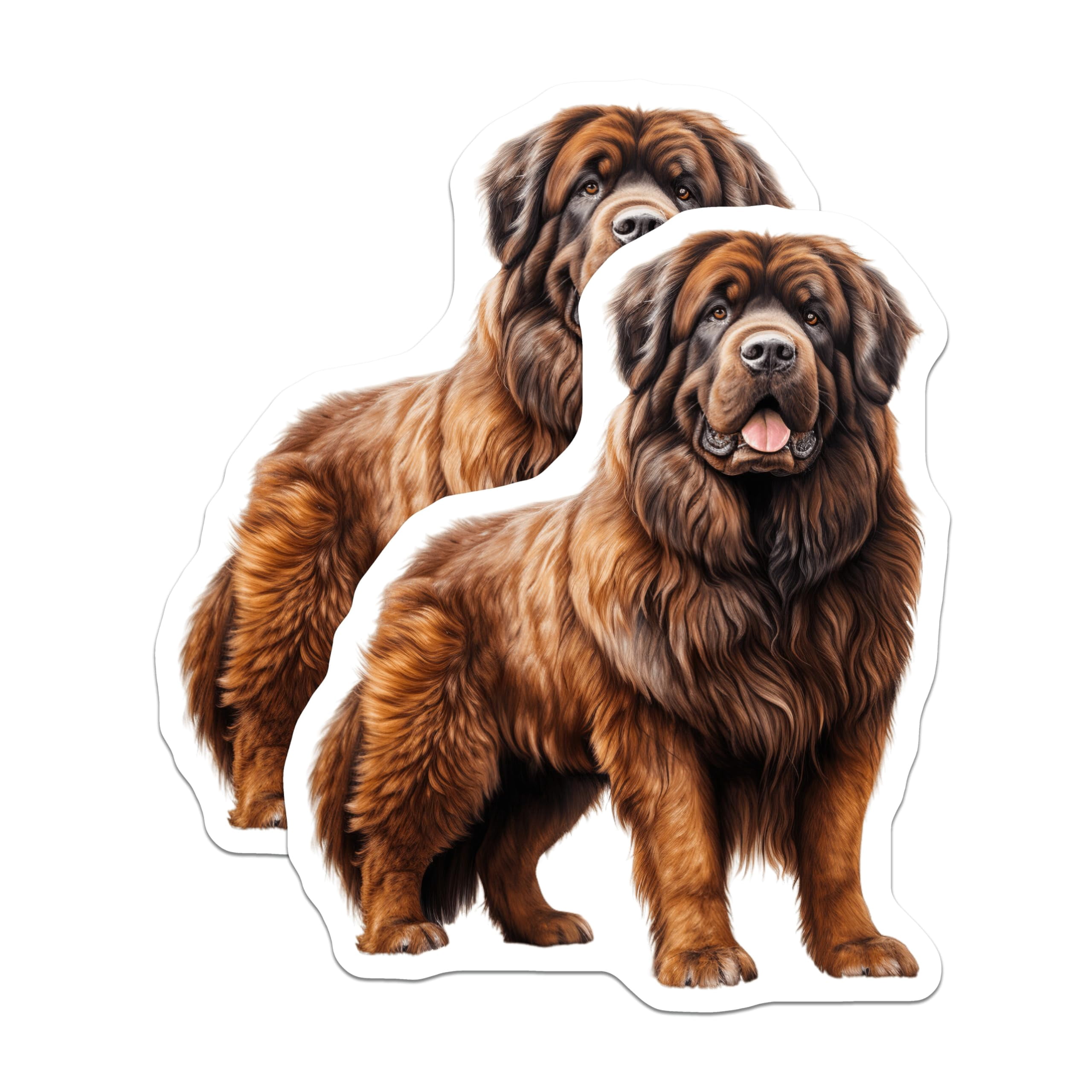 (2 Pack) Newfoundland Dog Magnets - Brown Newfie Lover - Large Breed ...