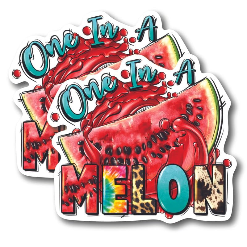(2 Pack) One in A Melon - Funny Punny Watermelon One in A Million ...