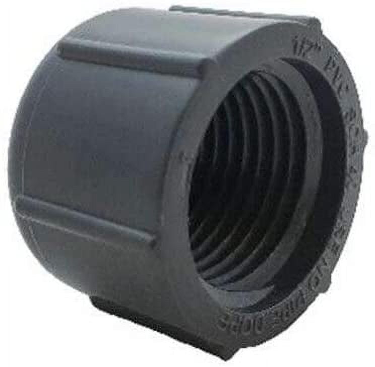 Orbit 1/2 in. Grey Plastic Cap Pipe Fittings, 2 Piece, 2 Pack - Walmart.com