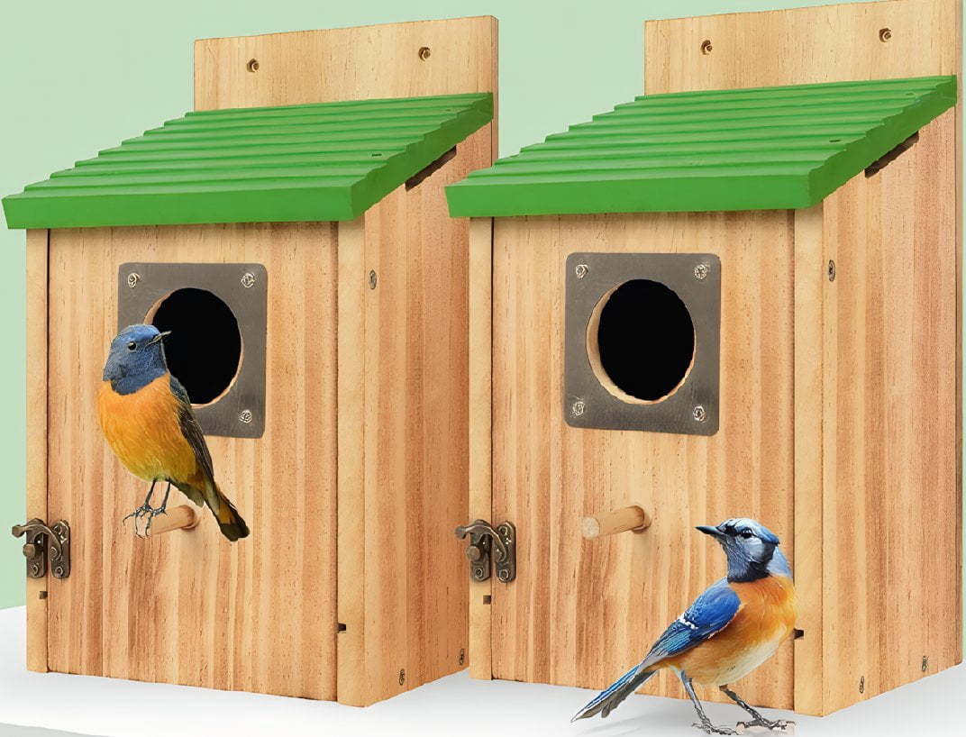 2 Pack Outdoor Birdhouses with Metal Guard, Carbonized Cedar Wood, 1.5 ...