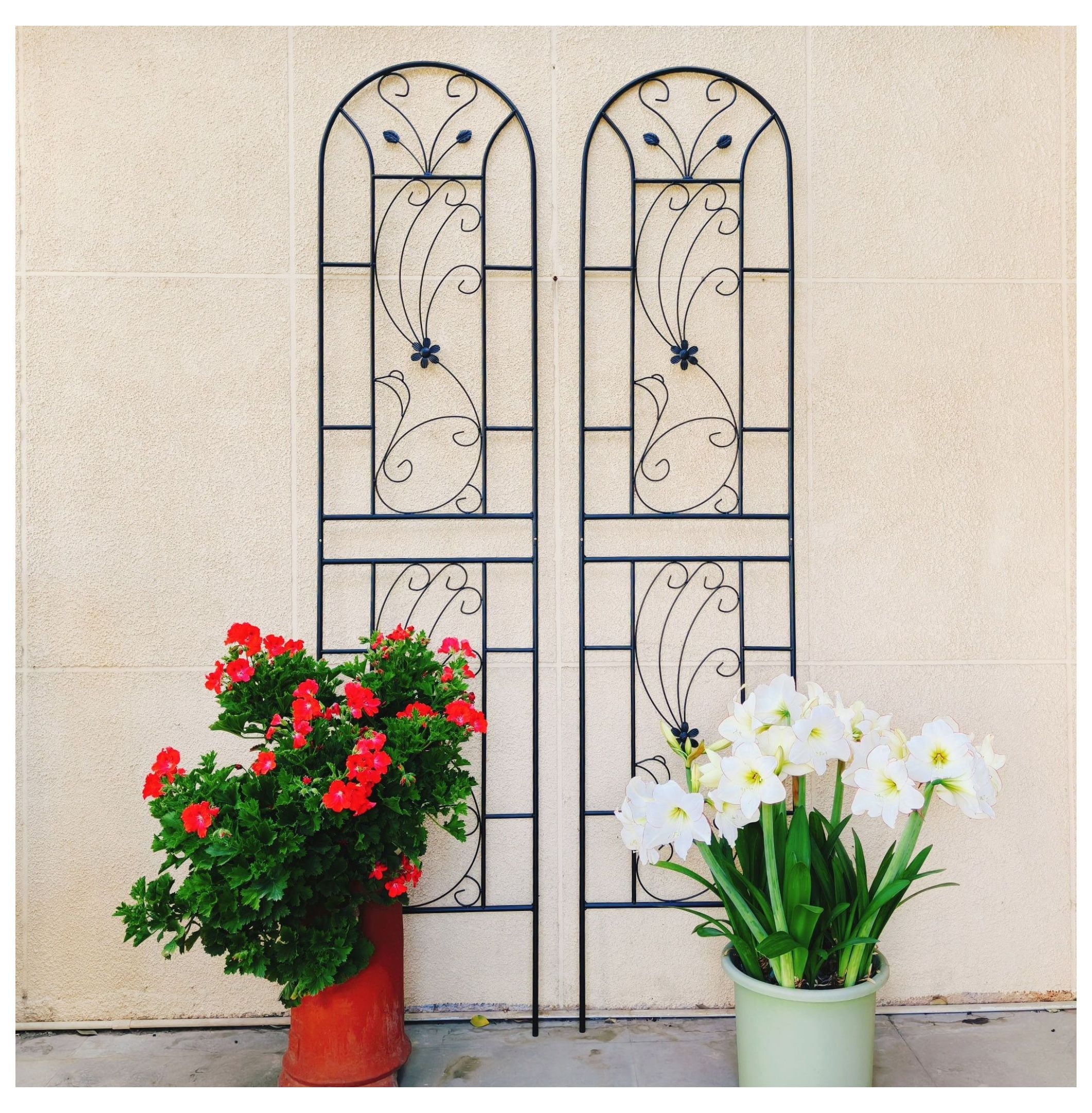 2 Pack Outdoor Garden Trellis Black Peacock Style, 86.7"x19.7" Metal ...