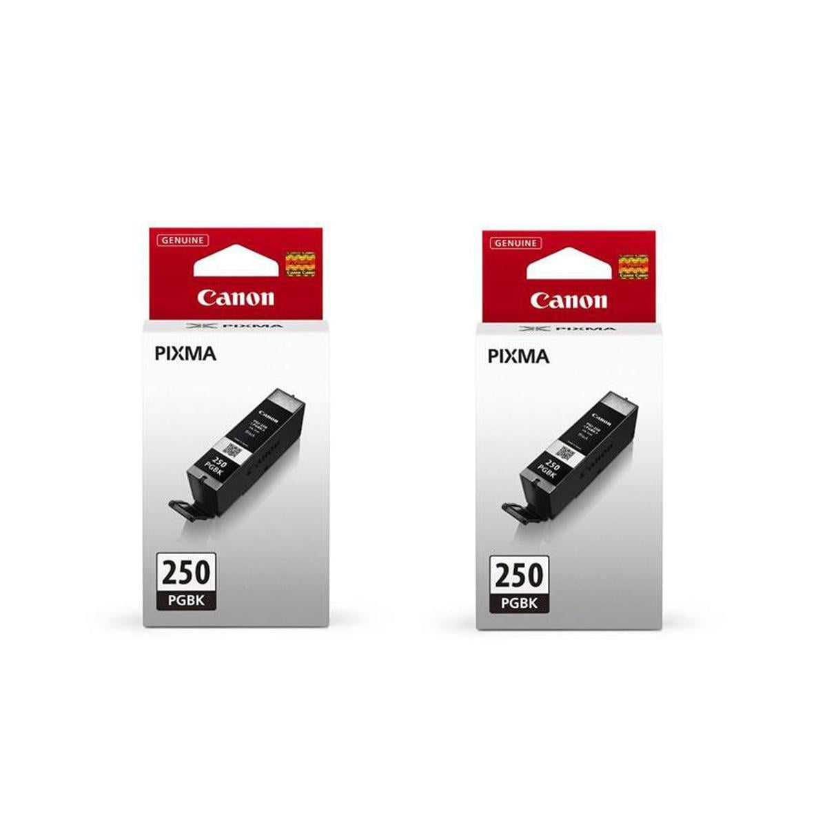 Canon 2 Pack PGI-250 Pigment Black Ink Tank for Select PIXMA iP, iX, MG ...