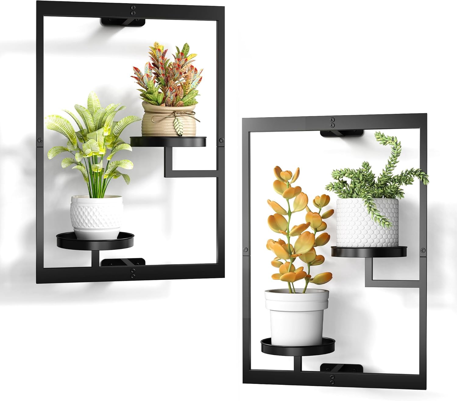 2 Pack Picture Frame Wall Plant Holder, Window Plant Hanger Indoor Wall ...