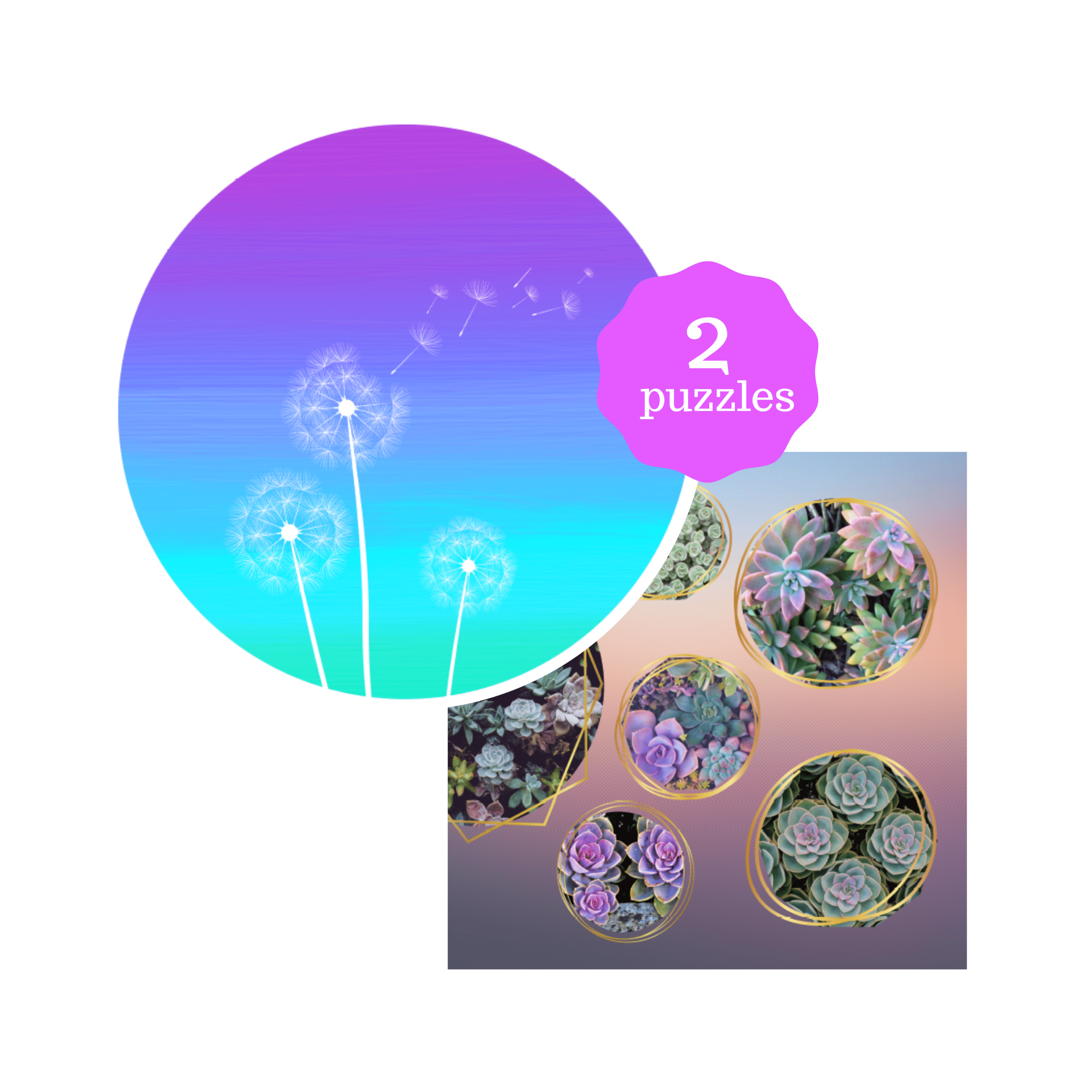 2 Pack Plant Puzzle - 500 Piece Puzzles | Gradient Puzzle + Succulent ...