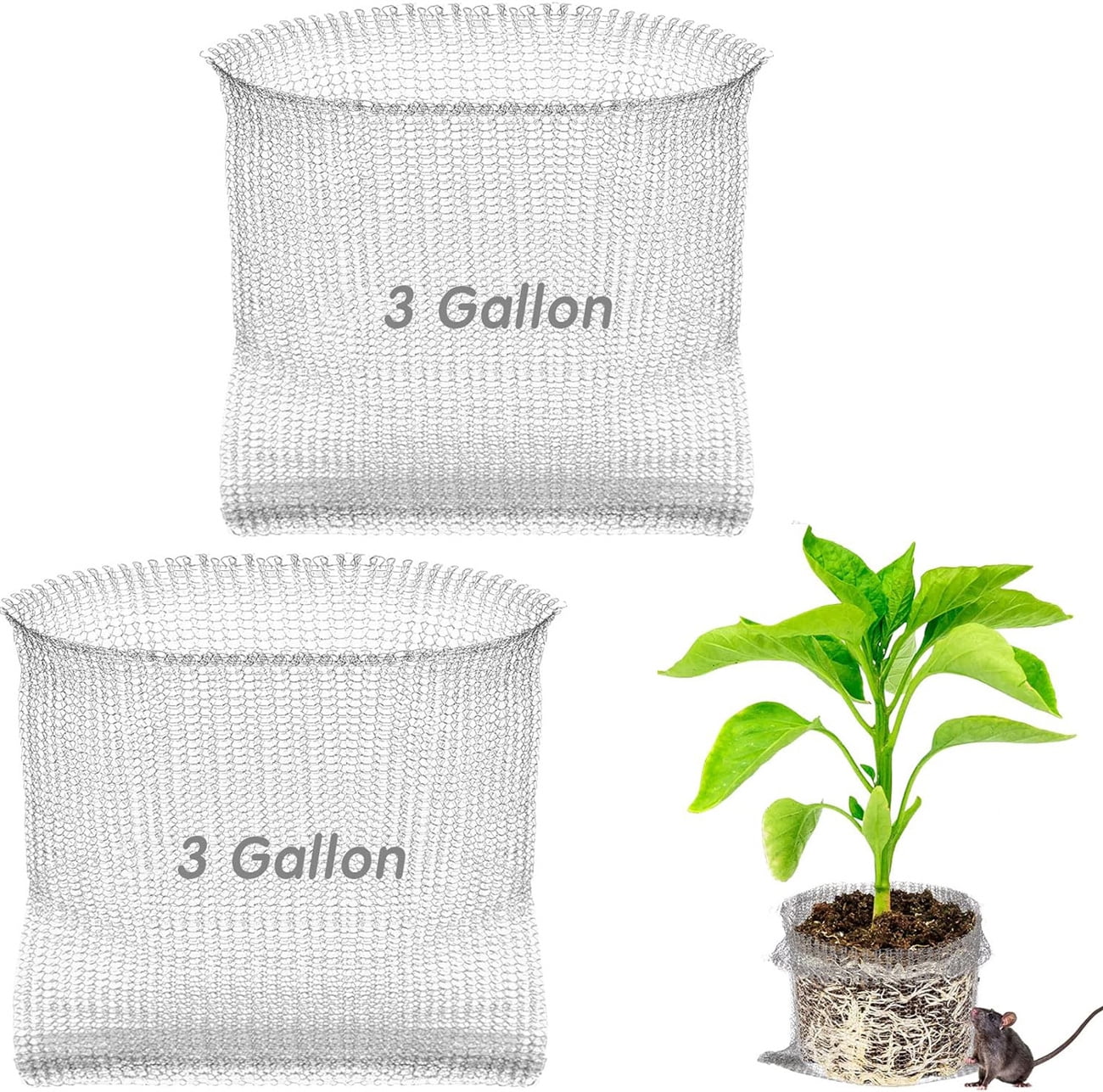 2 Pack Plant Root Guard Baskets,Stainless Steel Wire Baskets Protect ...