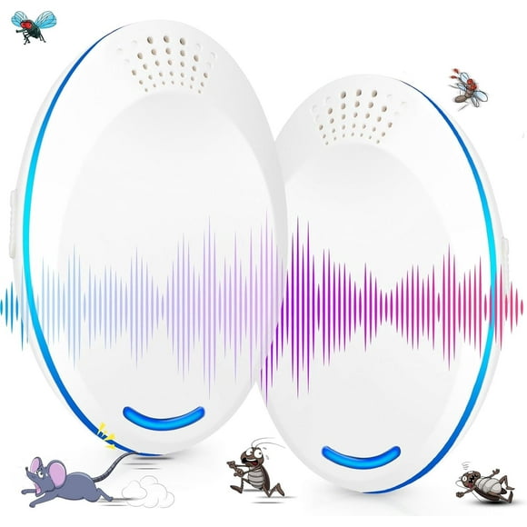 Spider in Pest Control - Walmart.com