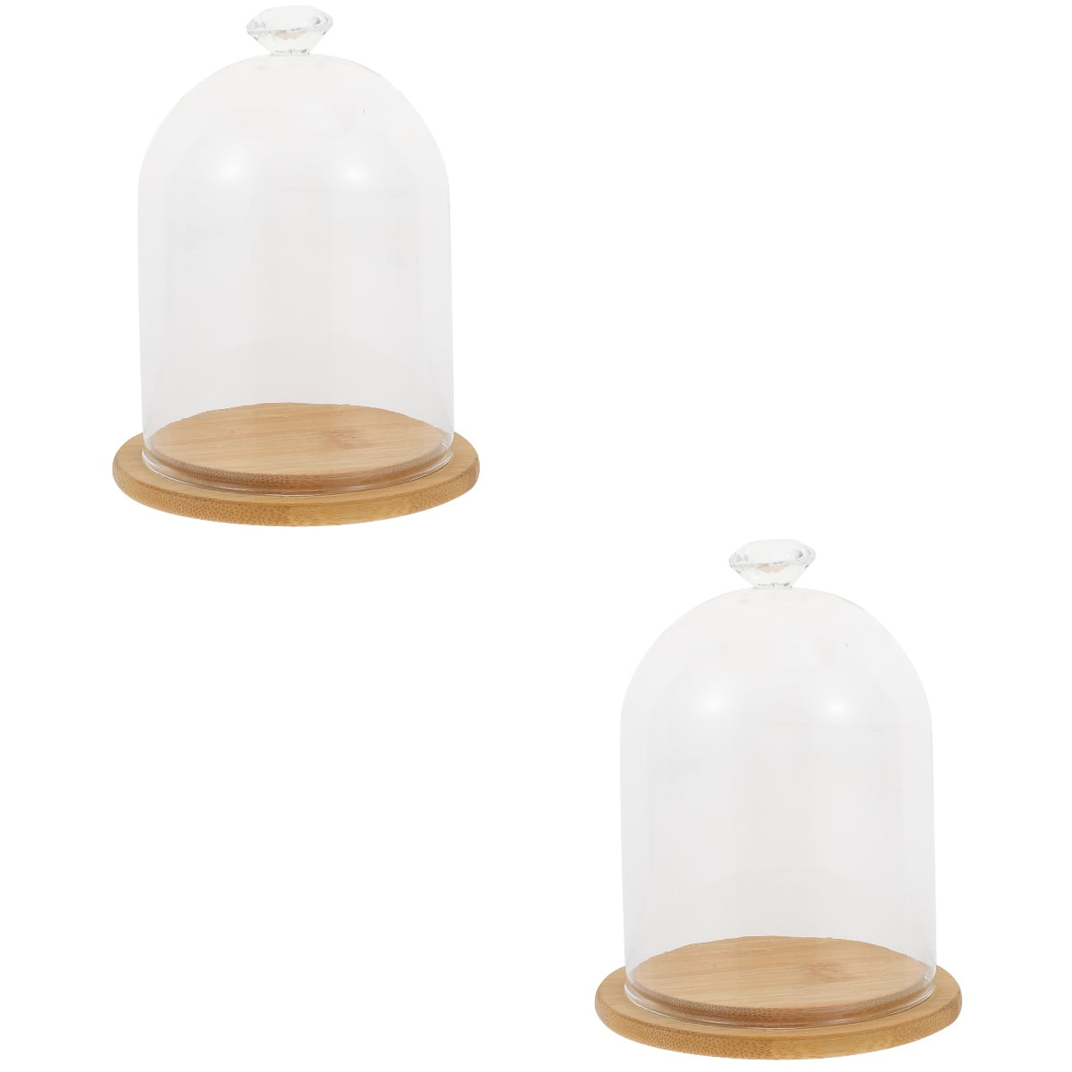 2 Pack Preserved Flower Glass Cover Oval Pot Neon Clear Display ...