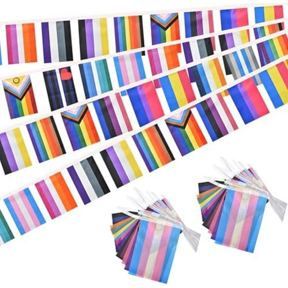2 Pack Progress Gay Pride Flags Banner Bunting Rainbow LGBTQ Intersex ...