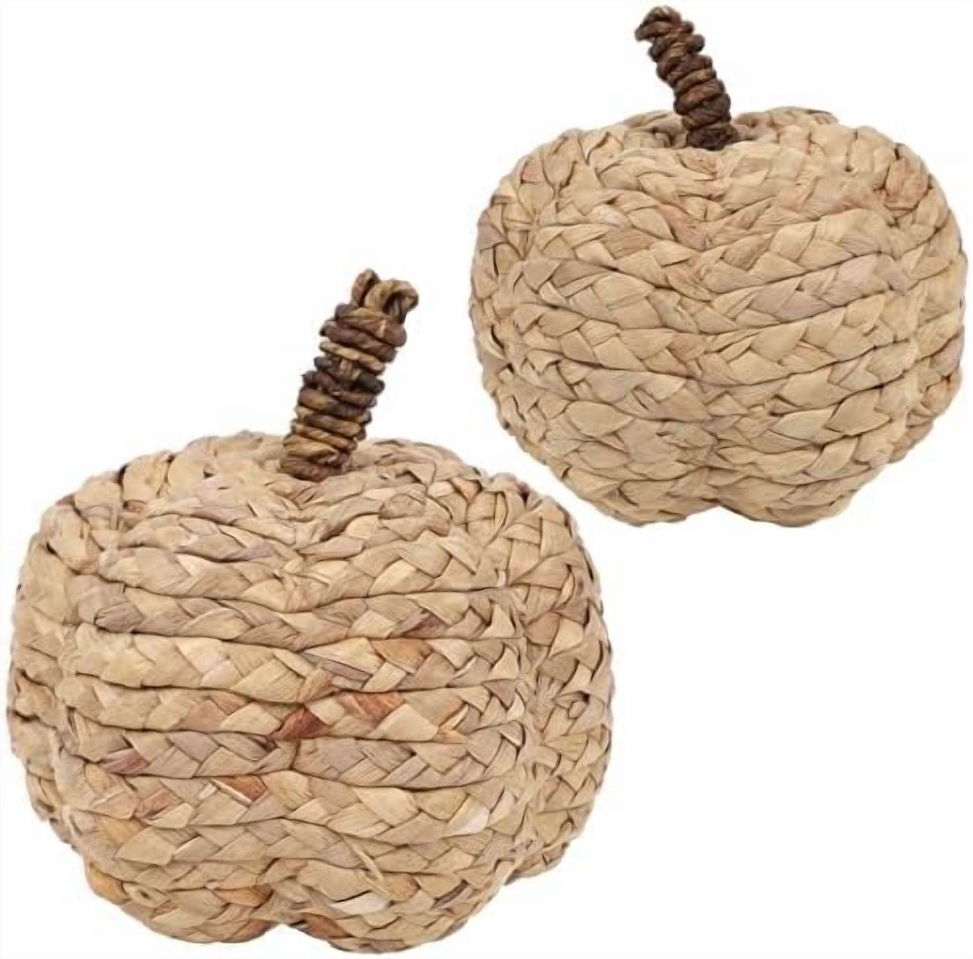 2 Pack Pumpkin Fall Decor Thanksgiving Decorative Pumpkins for Home ...