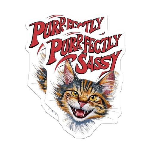 (2 Pack) Purr-fectly Sassy Magnets - Cute Cat Magnets - Fun Fridge ...