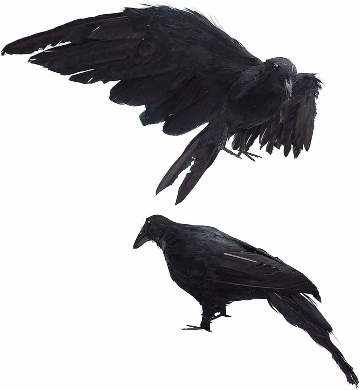 2-Pack Realistic Crows Lifesize Extra Large Handmade Black Feathered ...