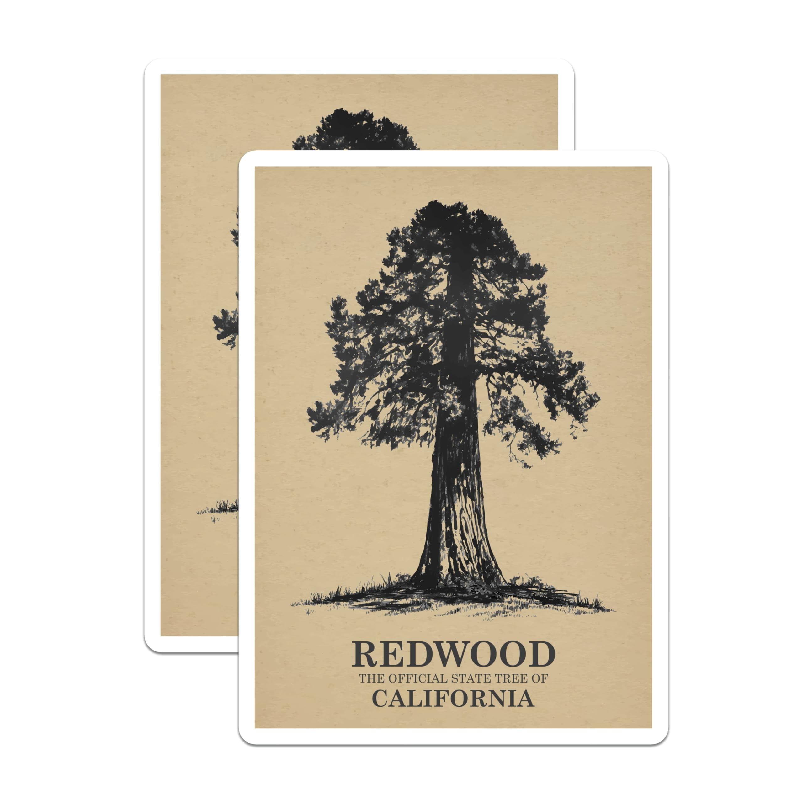 (2 Pack) Redwood Tree Stickers - California State Tree - Nature ...