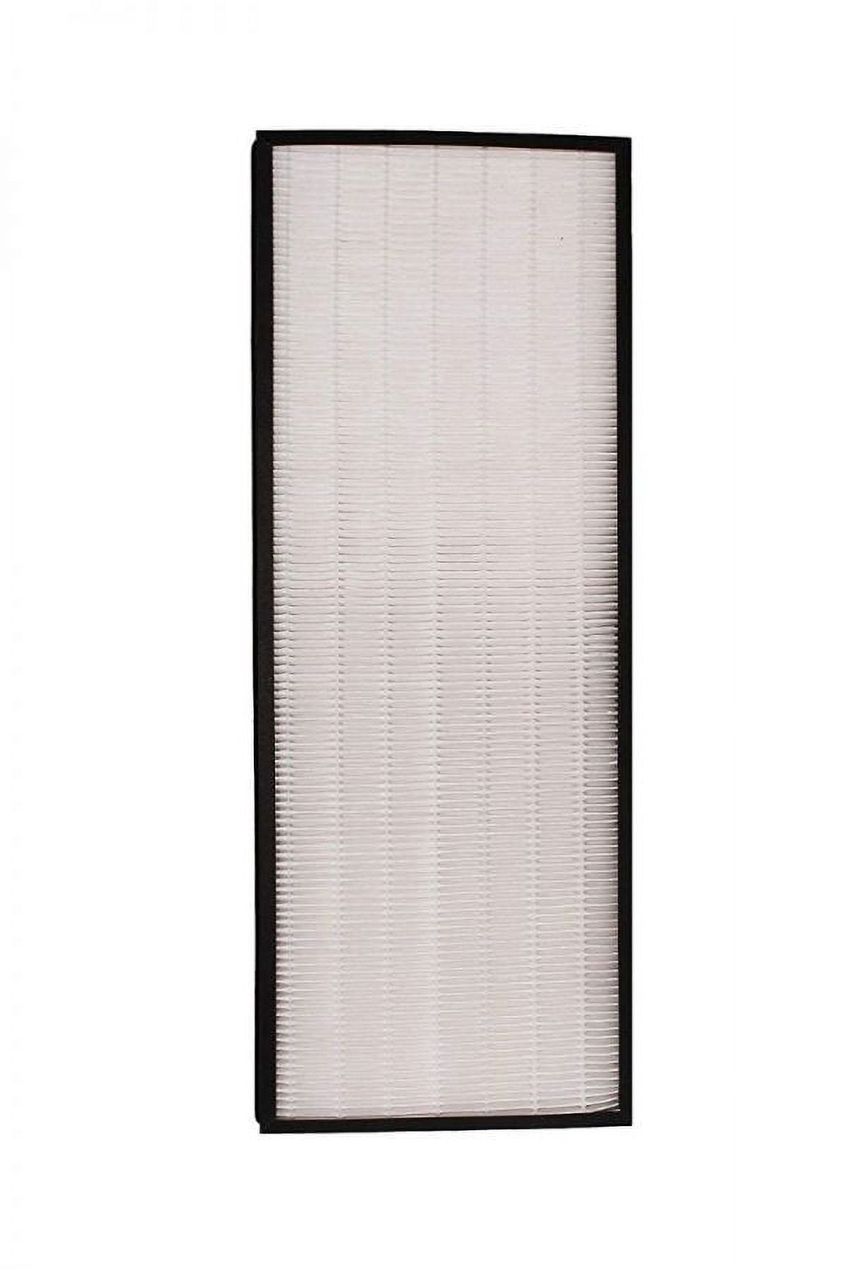 2 Pack Replacement True HEPA Filter for Rowenta XD6071 XD6076 fits ...
