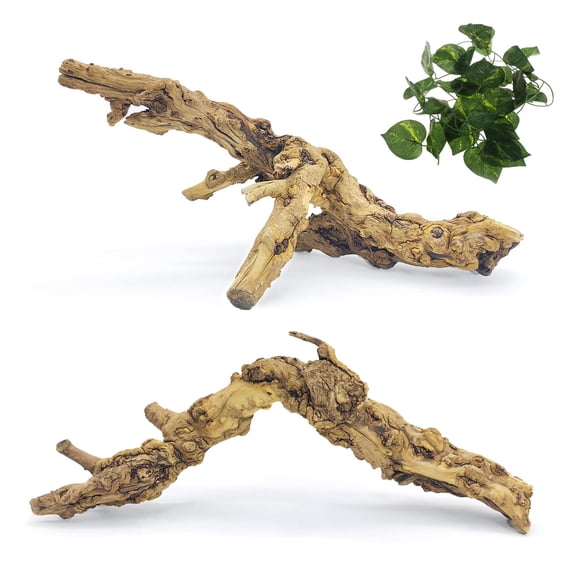 2 Pack Reptile Wood Branches Snake Climbing Branch Bearded Dragon Log ...