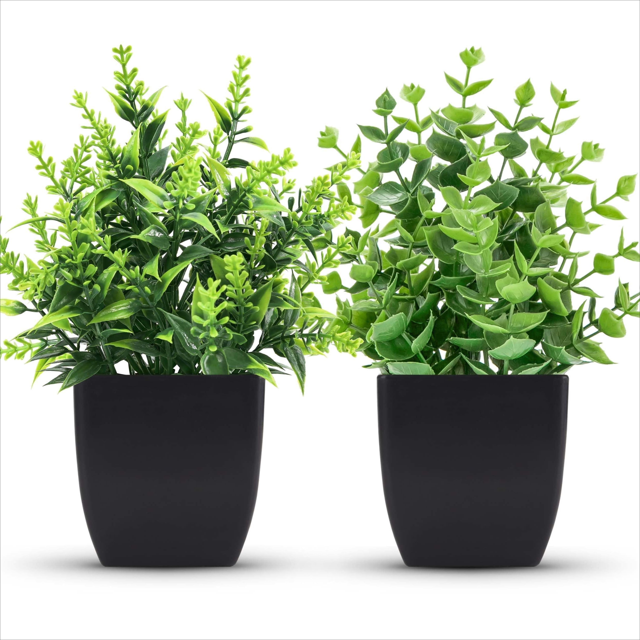 2 Pack Small Fake Plants Black Bathroom Accessories for Home Bedroom ...