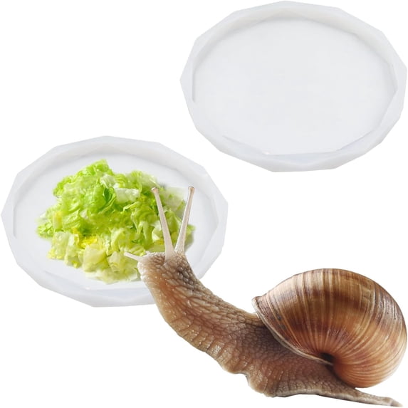 2 Pack Snail Habitat Kit, White Silicone Food Bowl and Water Dish for ...